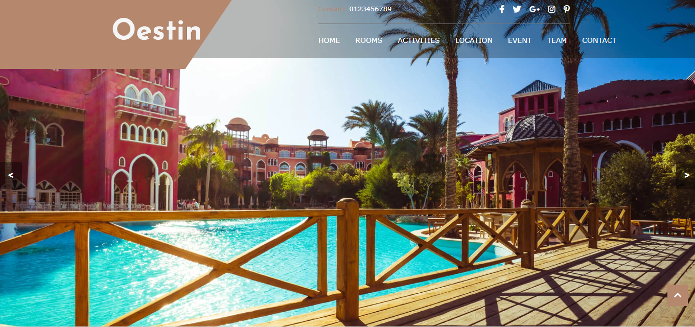 Richa Singh Portfolio